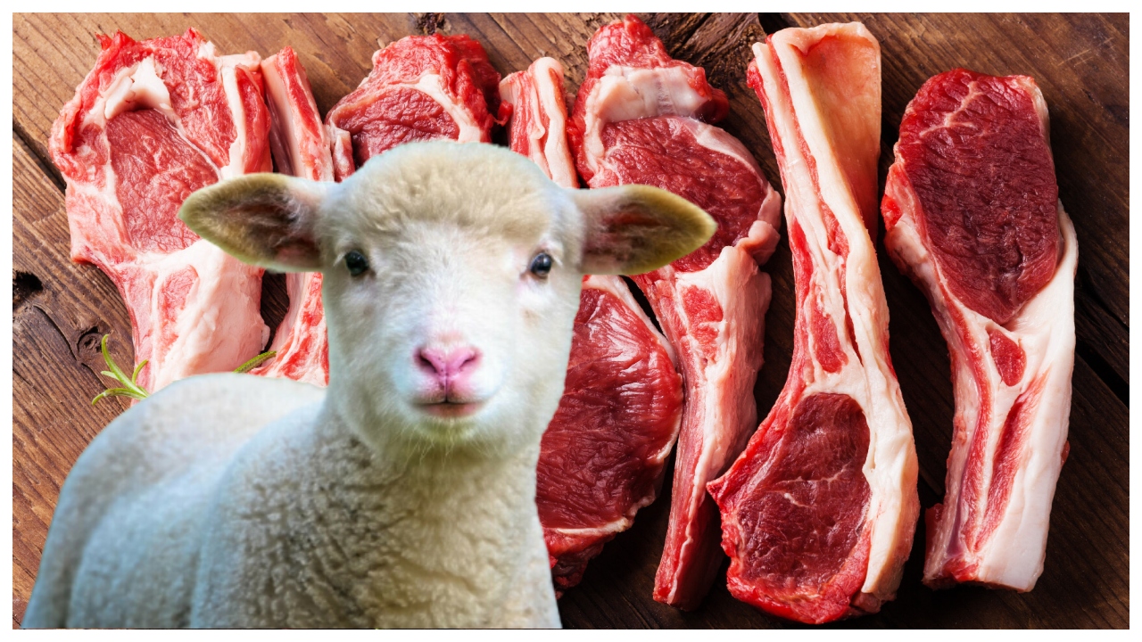 Bătaie pe carnea de miel în magazine! Prețuri record la galantar: cât a ...