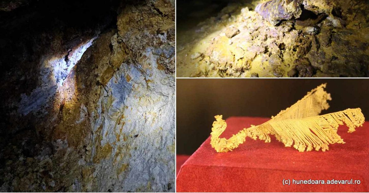 Locul secret care ascundea pepite uriașe de aur. Aveau zeci de ...